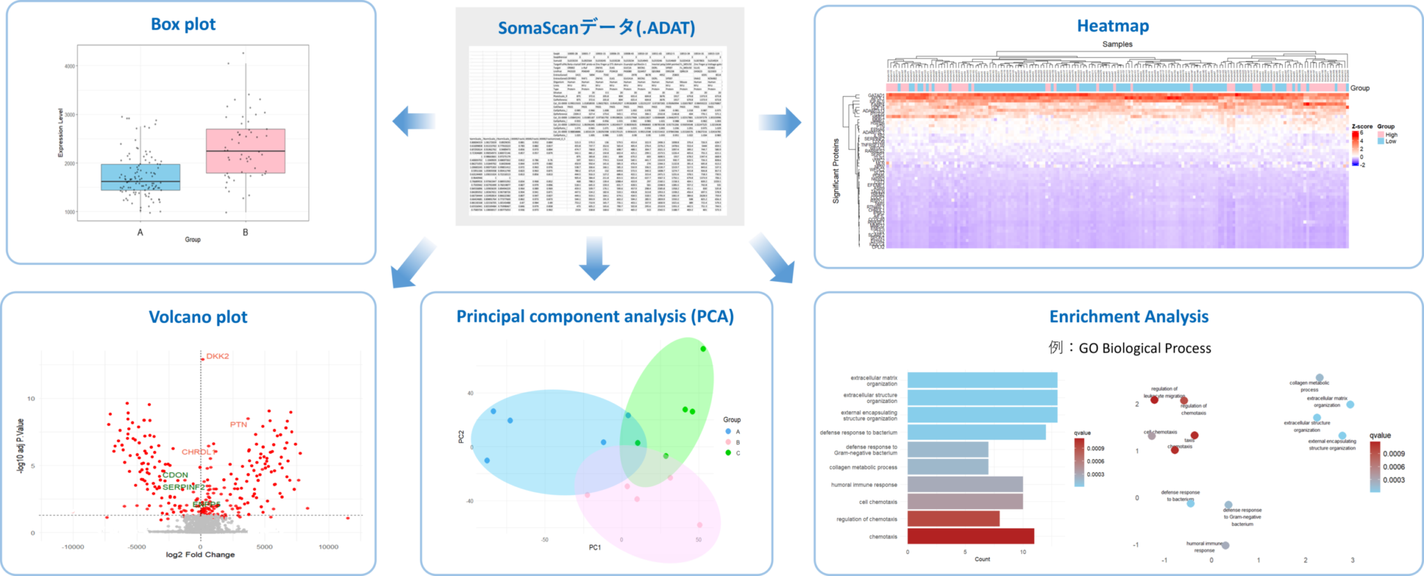 SomaScan®の解析サービス | SomaScan® Assay（ソマスキャンアッセイ） | タンパク質測定サービス（SomaScan ...