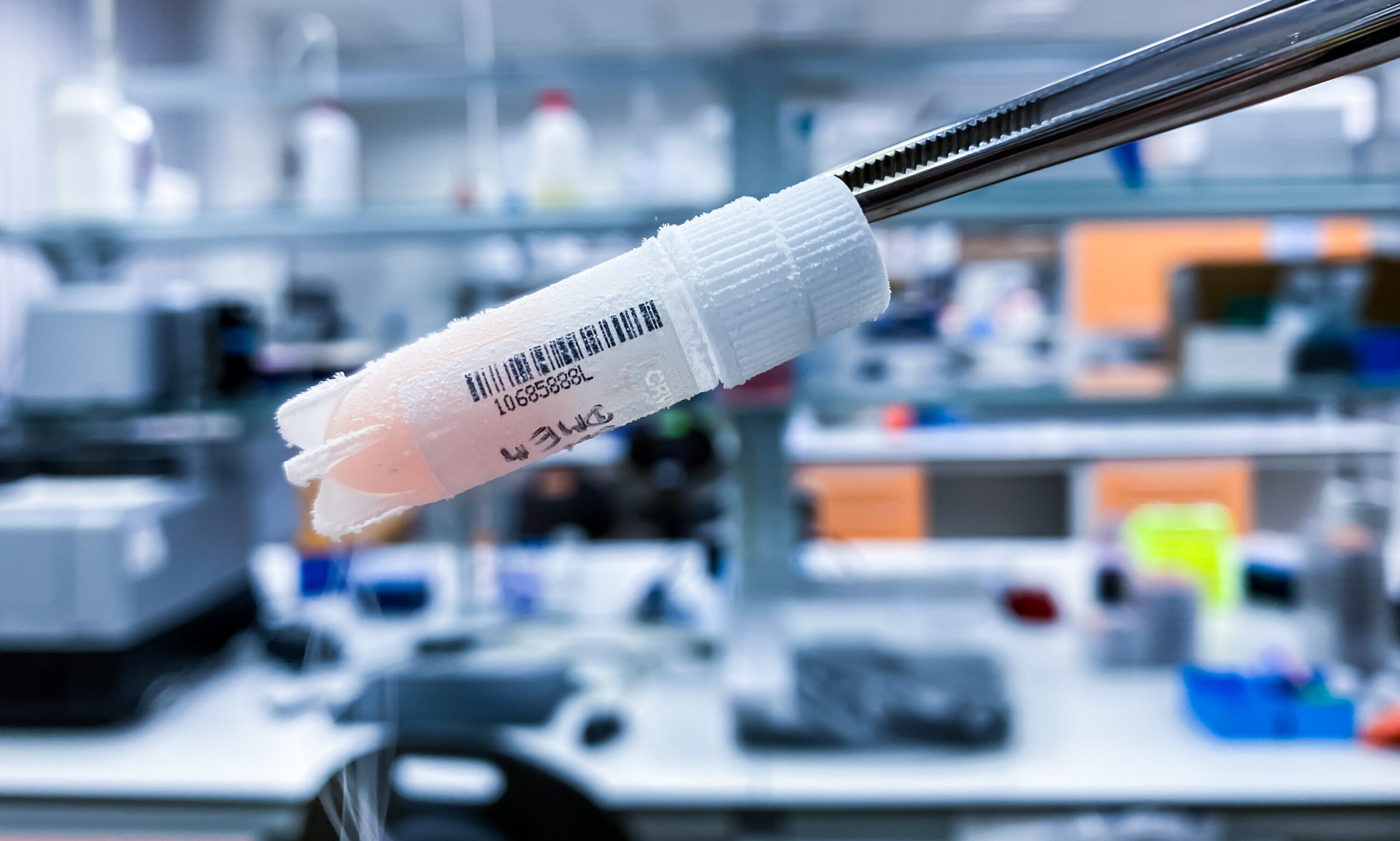 溶血・凍結融解がタンパク質測定に与える影響 | タンパク質測定サービス（SomaScan®Assay）